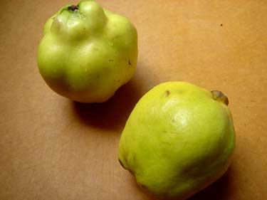 Vanilla-Poached Quince Recipe - David Lebovitz