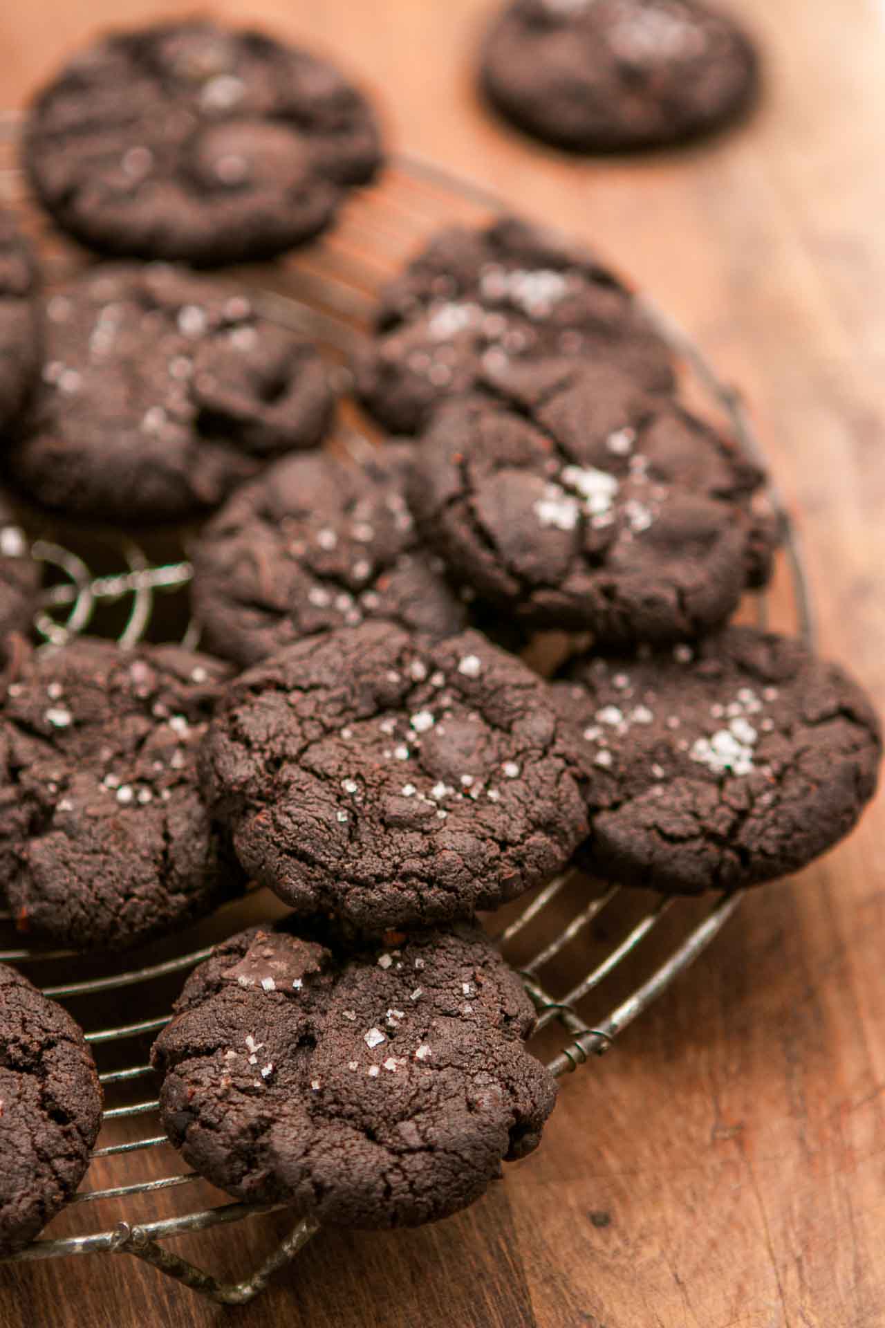 Double Chocolate Chip Cookies
