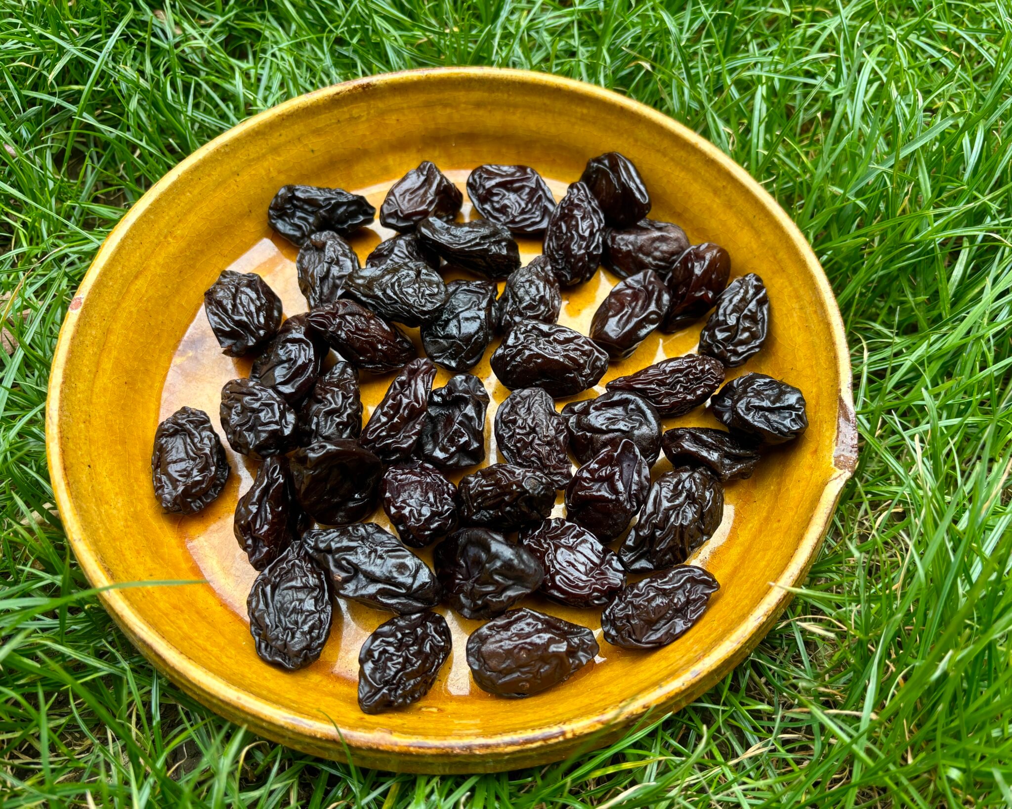 Plum Kernel Ice Cream Recipe - David Lebovitz