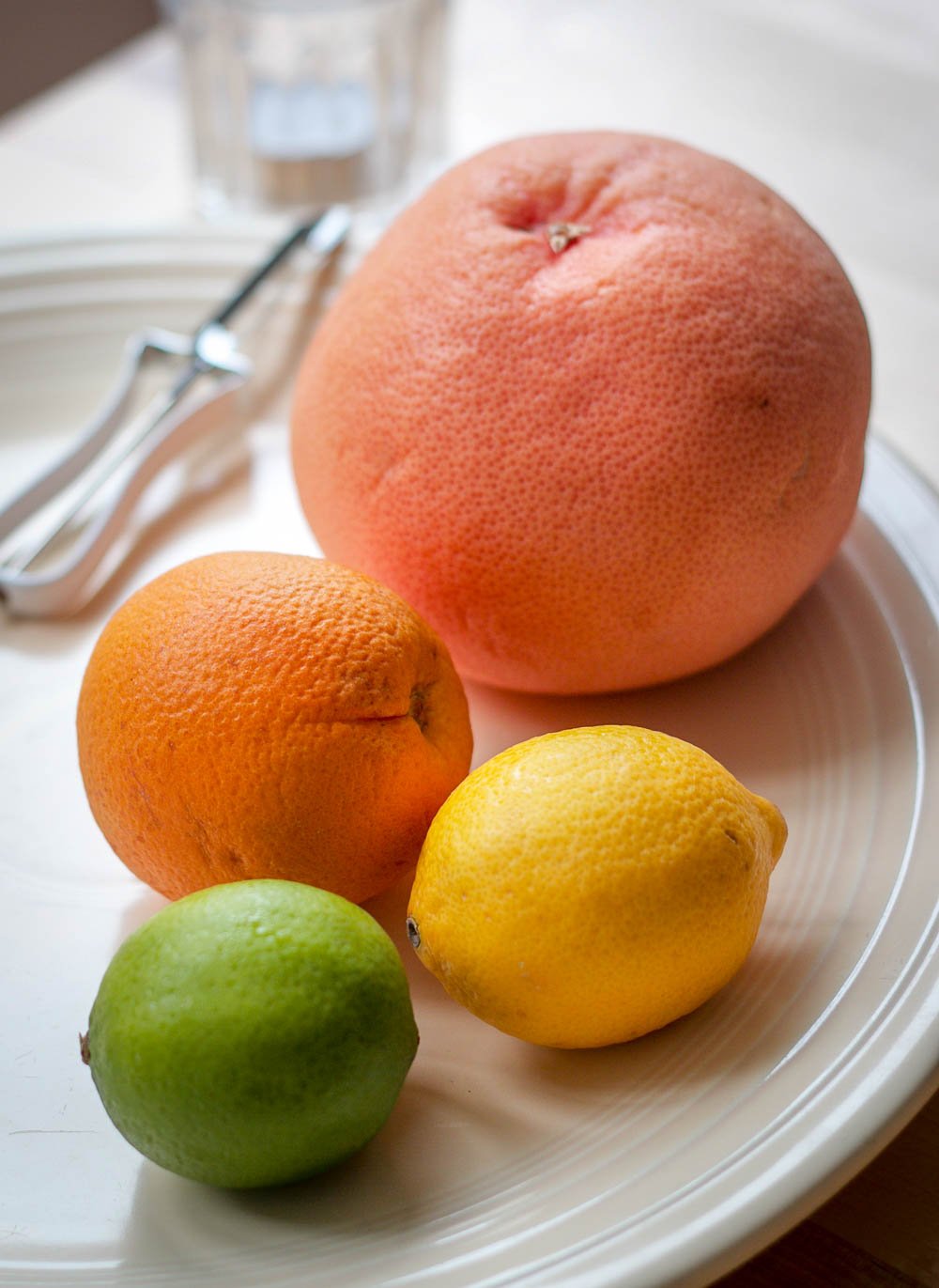 Homemade Tonic Water Recipe