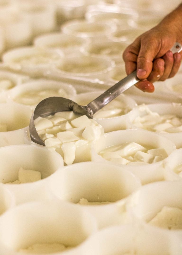 Making French Butter and Camembert Cheese at Isigny Ste Mere