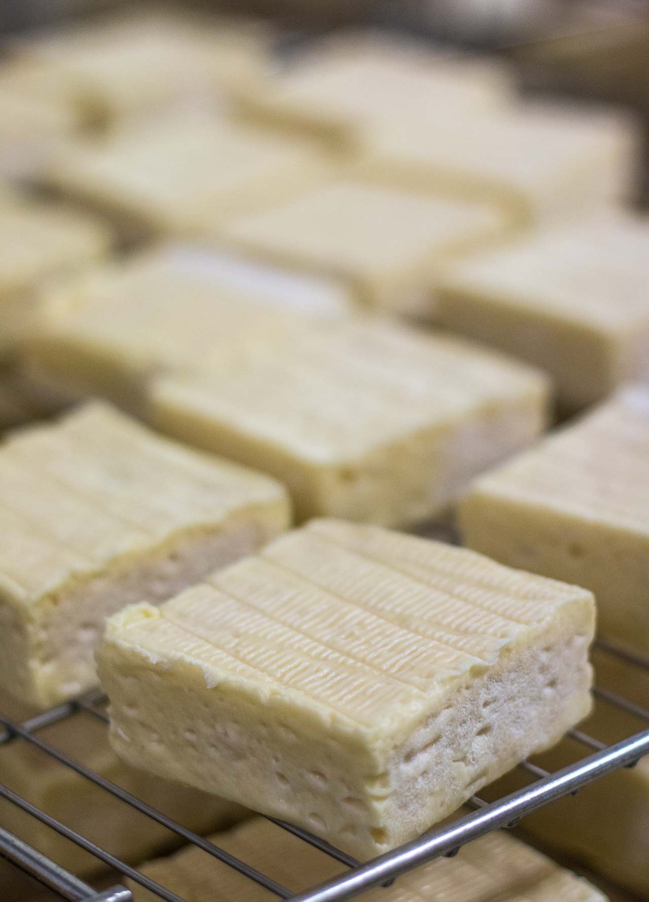 Making French Butter and Camembert Cheese at Isigny Ste Mere