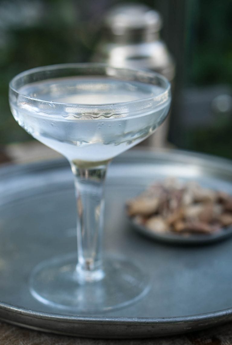 The Shaken Martini - David Lebovitz